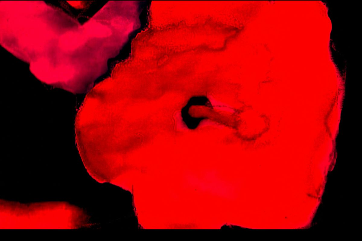 Berlinale Talents Project - Cosmic Rage | Berlinale Talents