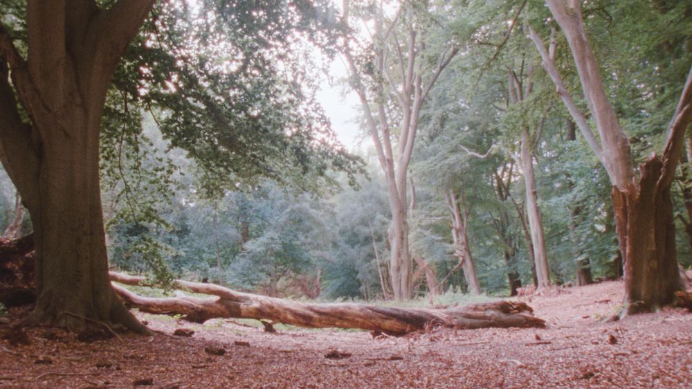 Berlinale Talents Project - cleave to the BLACK | Berlinale Talents