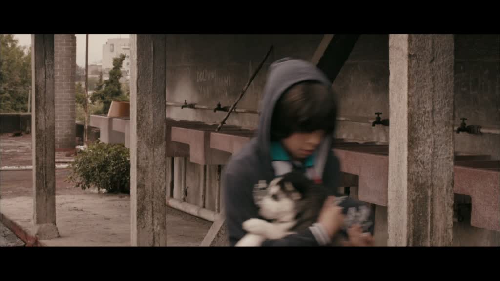 Berlinale Talents - Alejandro Becerril | Berlinale Talents